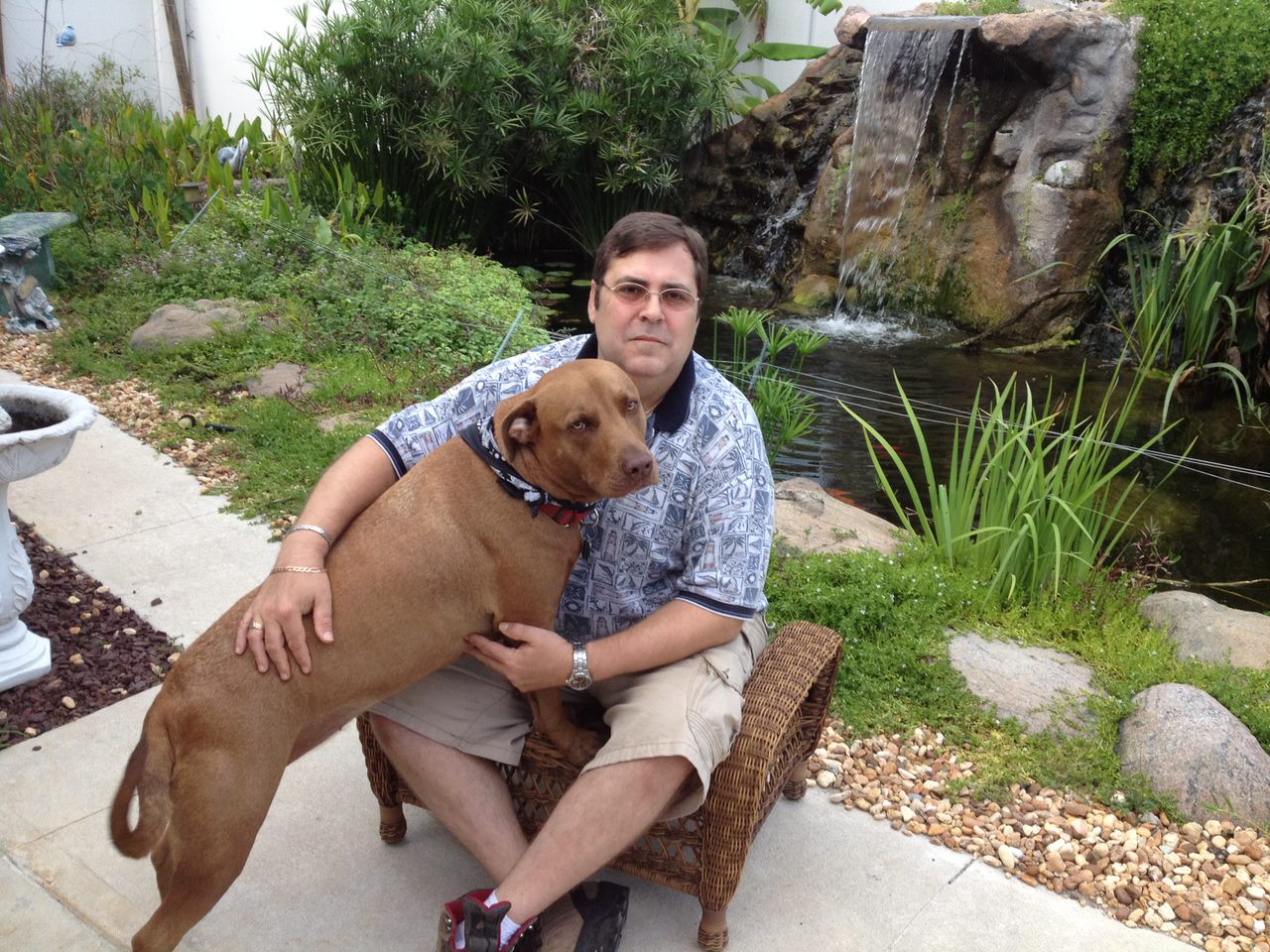 Why a Service Dog is Your Best Investment for Health and Safety ...